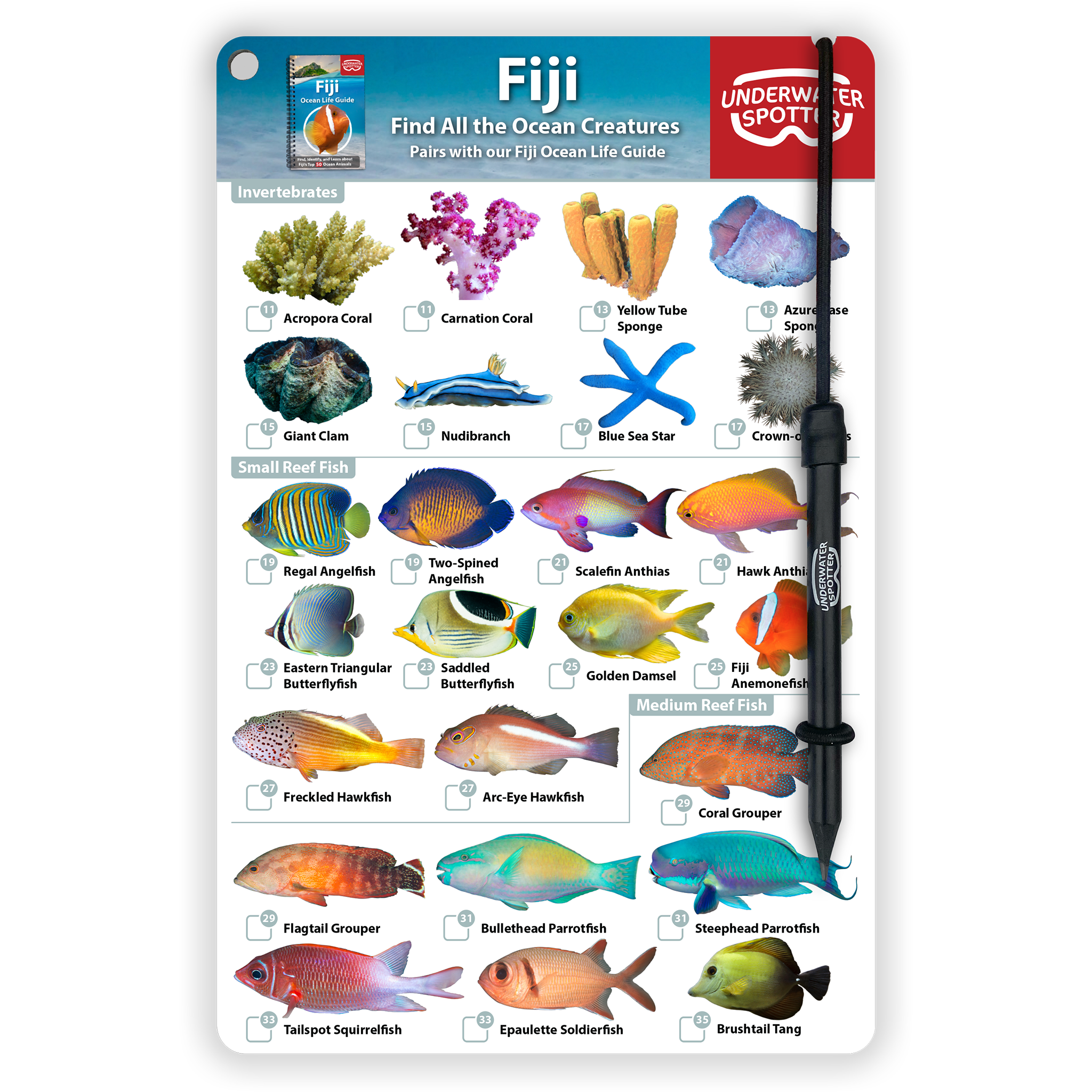 Fiji Fish Identification Card – Underwater Spotter