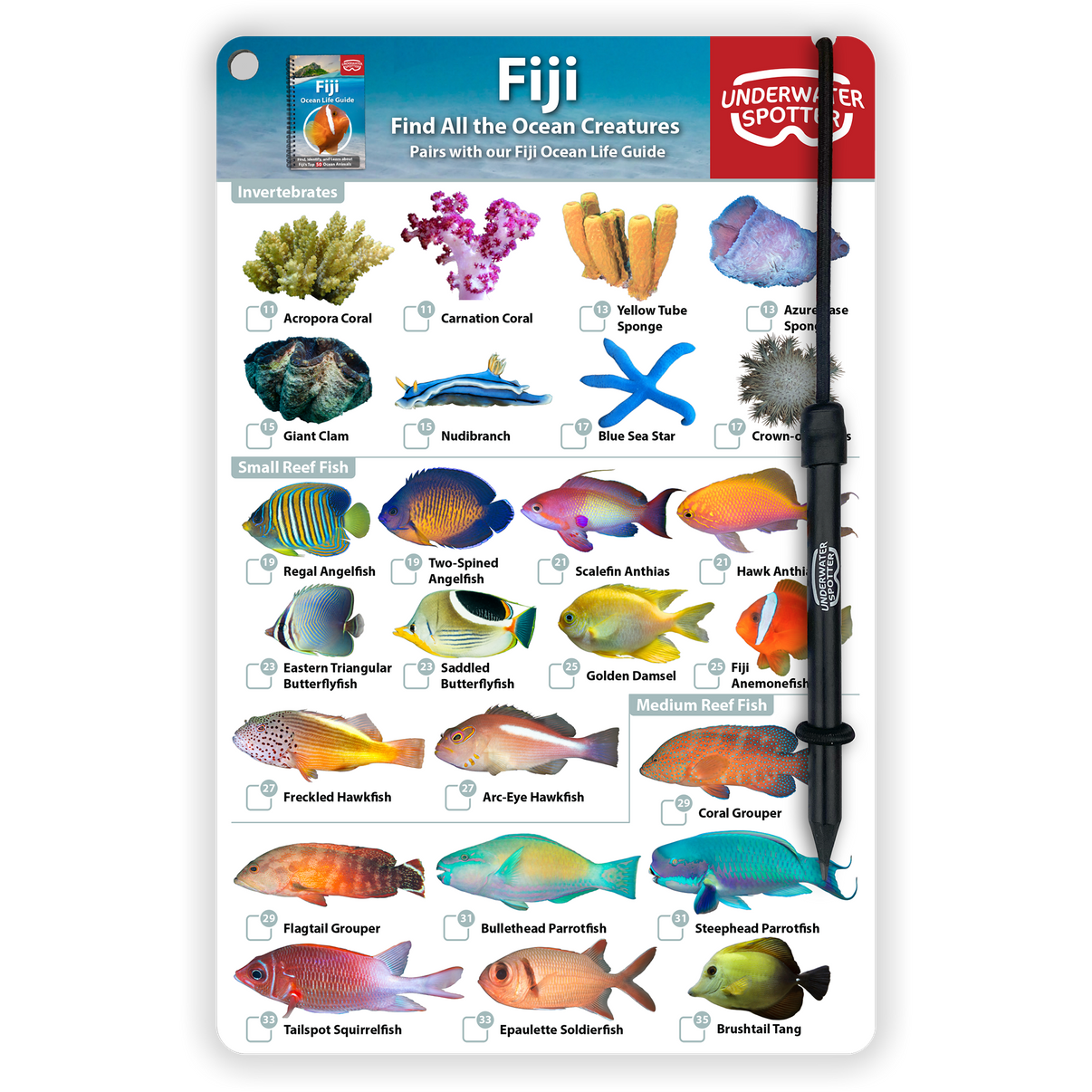 Fiji Fish Identification Card – Underwater Spotter