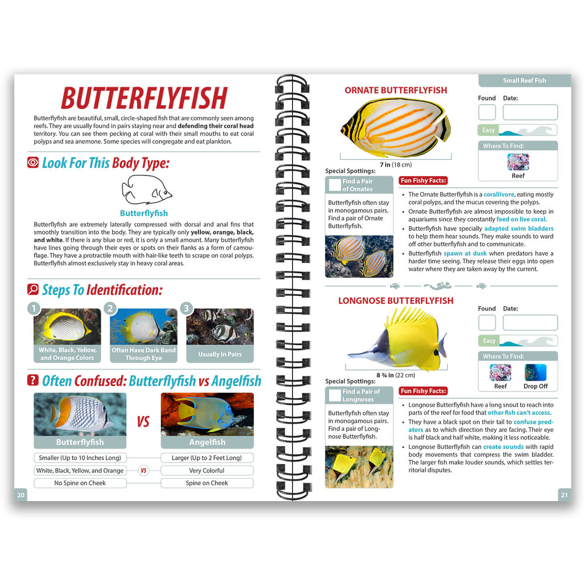 Hawaii Ocean Life Guide, A Fish ID Book & Scavenger Hunt – Underwater ...