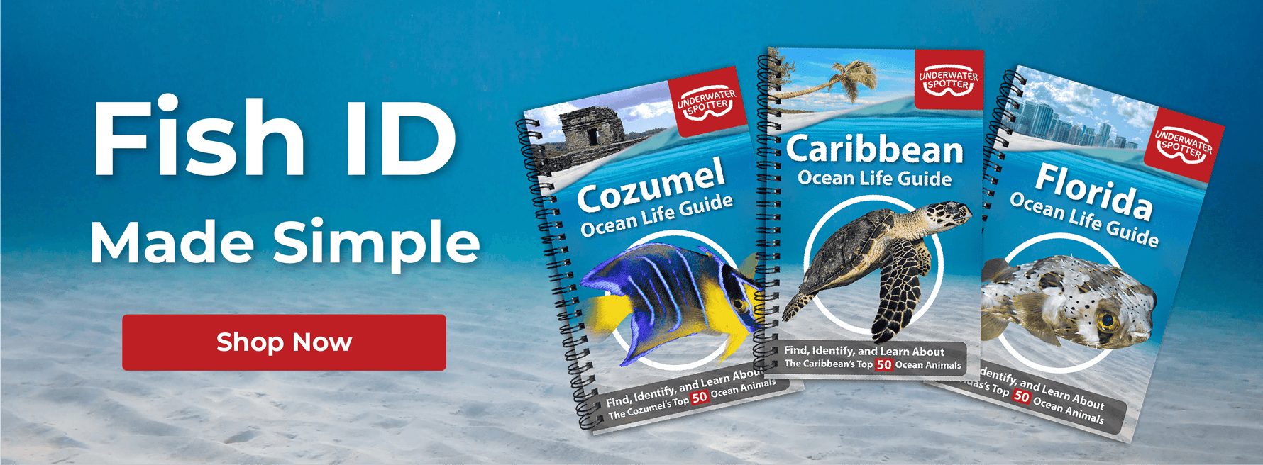 Underwater Spotter | Fish Identification and Ocean Life Guides