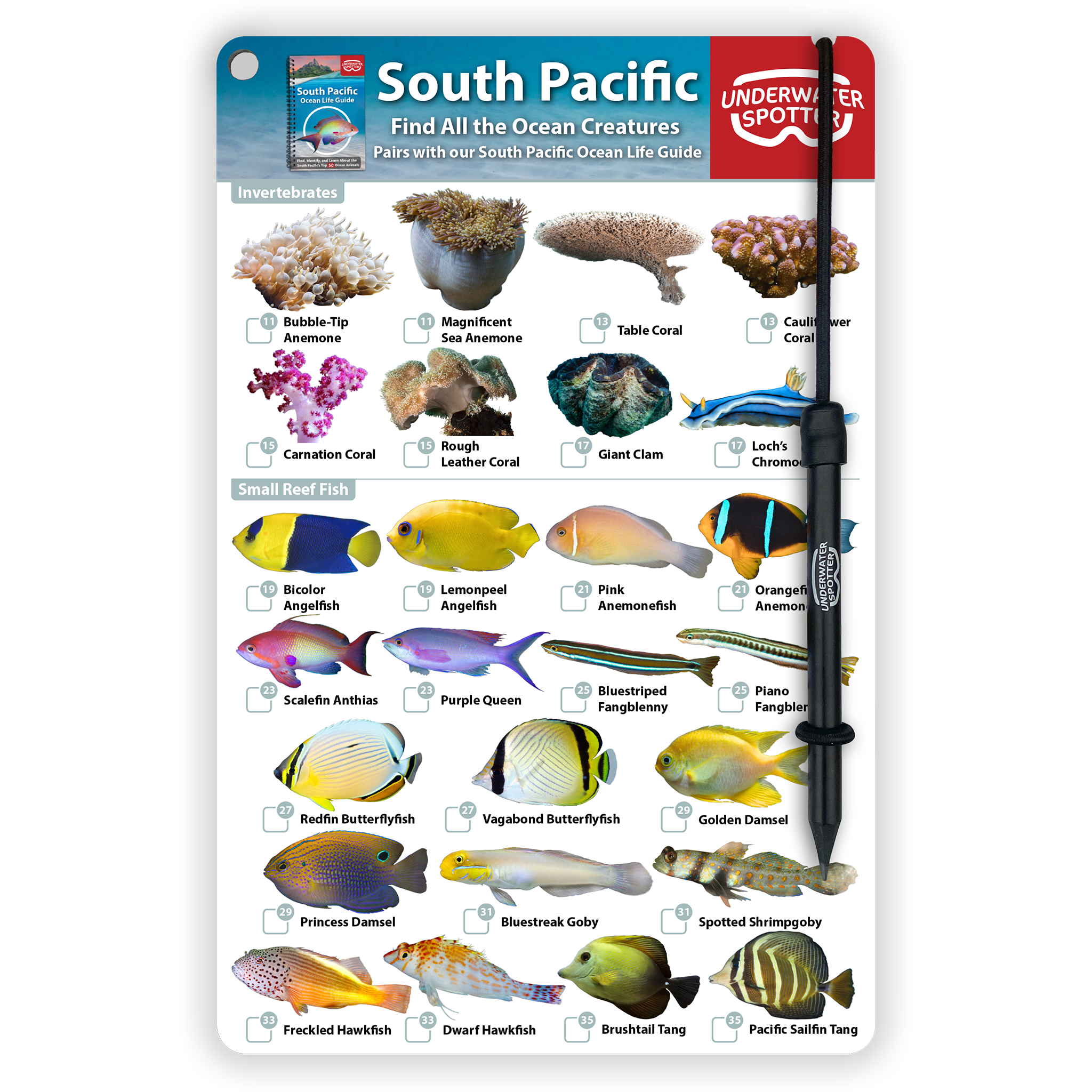South Pacific Fish Identification Card – Underwater Spotter