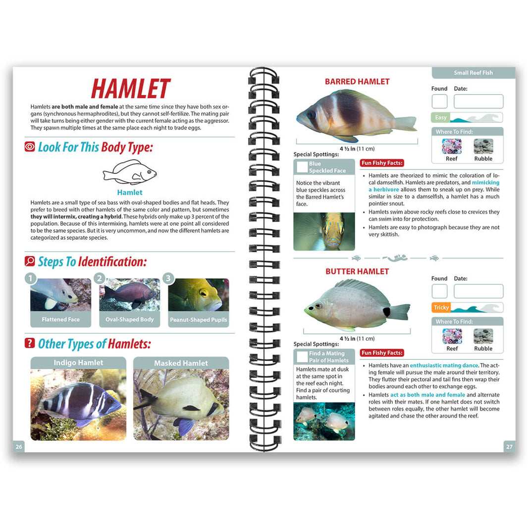 Fish Identification Books for Scuba Divers, Snorkelers and Kids ...