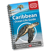 Caribbean Ocean Life Guide, A Fish ID Book & Scavenger Hunt ...
